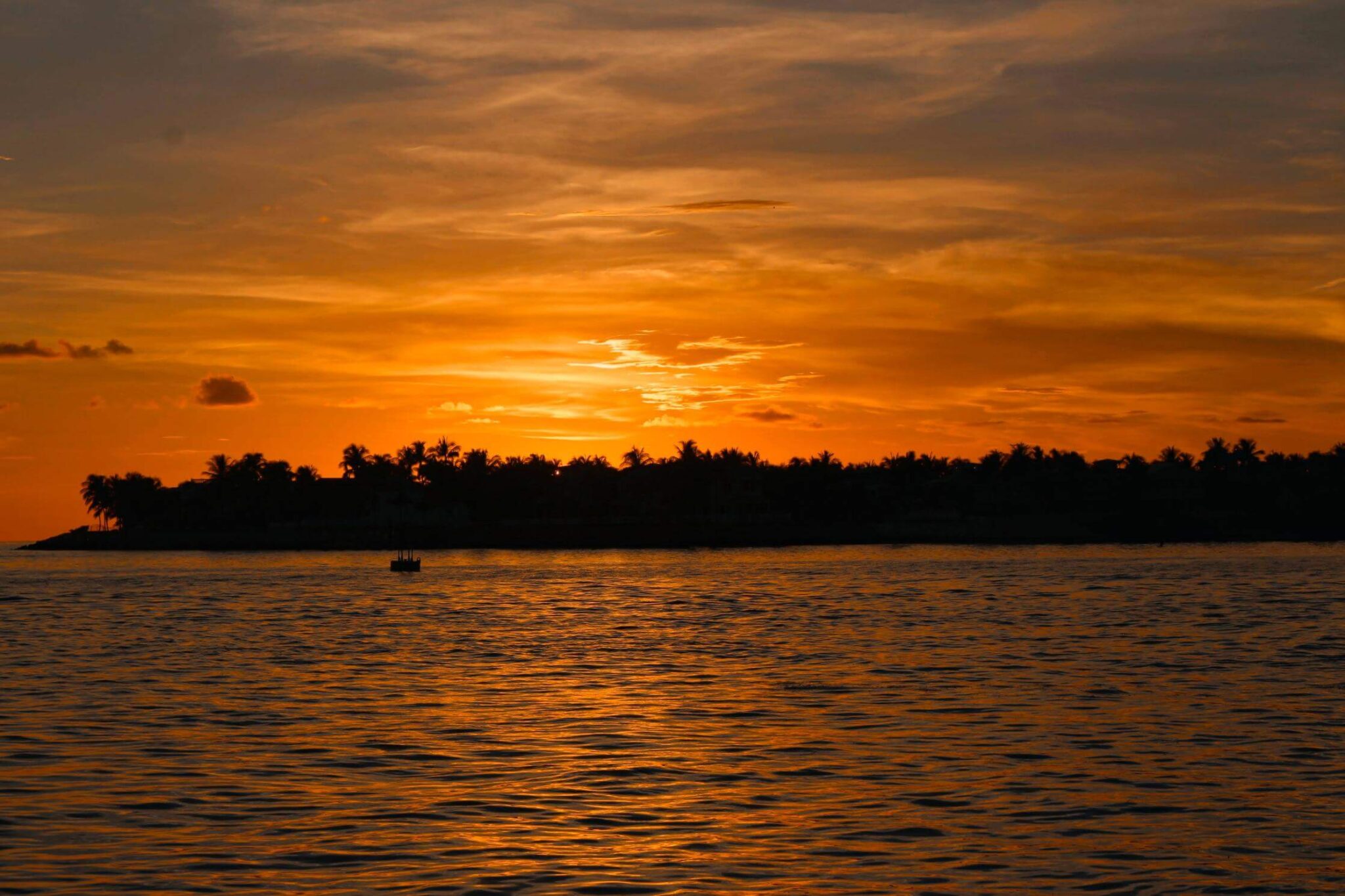 Cosa vedere a Key West: 10 esperienze da fare | Viaggi On The Road